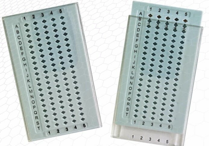 Antistatic grid storage box for 100 TEM GRIDS - Delta Microscopies