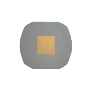 All products TEM Windows - Delta Microscopies