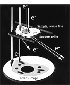 Electron Microscopy Grids: General - Delta Microscopies