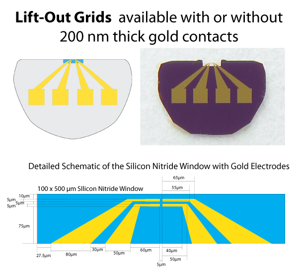 Silicon Nitride Lift-Out TEM Windows with gold contacts - Delta ...