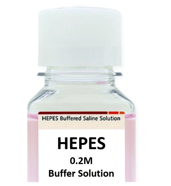 Hepes Buffer Solution - Delta Microscopies