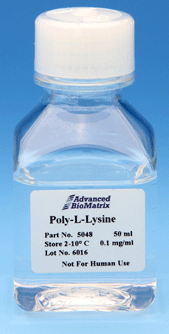 Poly-L-Lysine Hydrobromide 30,000-70,000 - Delta Microscopies