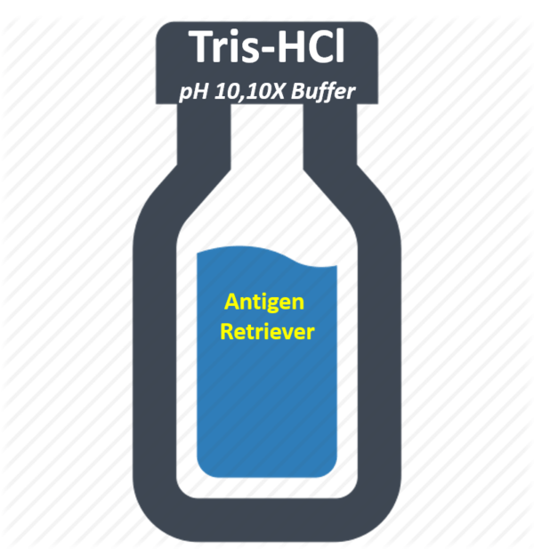 Tris HCl Buffer, pH 10.0 (10x) - Delta Microscopies