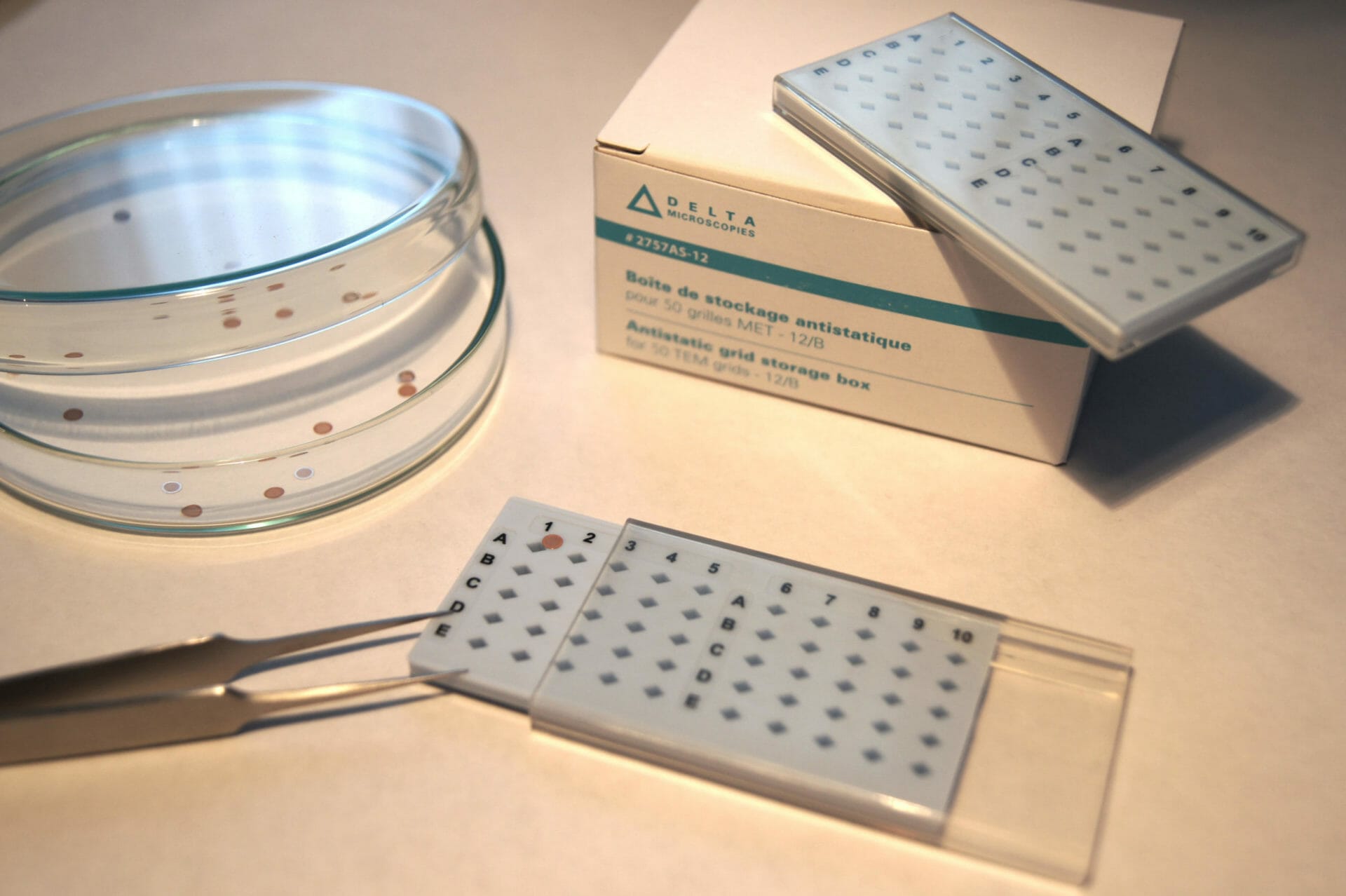 Grid storage box for 50 TEM grids full antistatic material - Delta ...