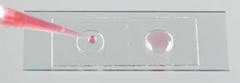 Microscope Slide-Wells - Delta Microscopies