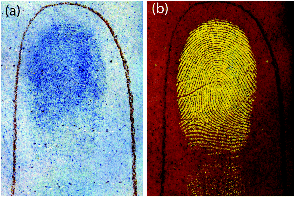 Nile Blue A Stain (lipid) - Delta Microscopies