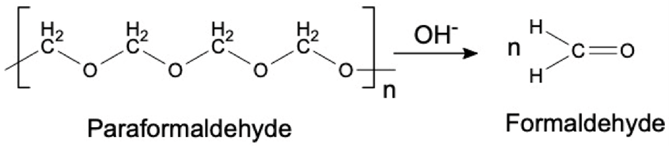 Différence entre le paraformaldéhyde (PFA) et le formaldéhyde - Delta Microscopies